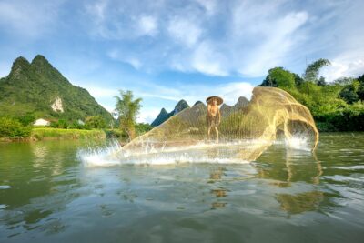 Save Porpoises from Suffocation, Starvation, and Propeller Strikes ...